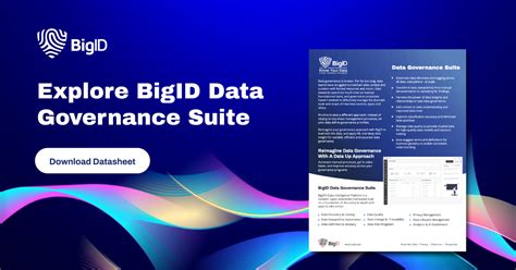 Essential Data Governance Policy Best Practices Bigid
