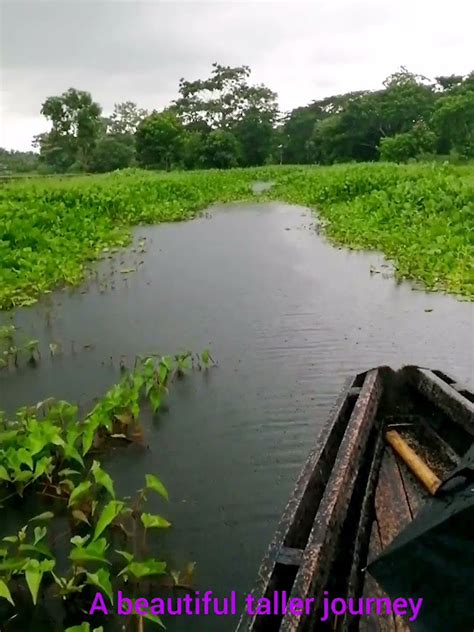 গ্রাম বাংলার রূপ ও প্রাকৃতিক সৌন্দর্য গ্রাম বাংলার রূপ বৈচিত্র Village Natural Beauty Youtube