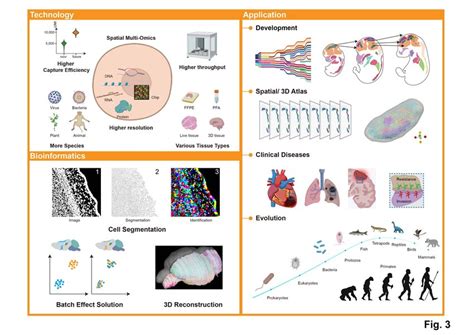 Future Perspectives Of Srt Related Technology Bioinformatics And The