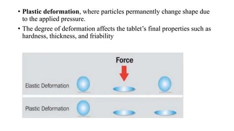 Compression And Compaction Physics Of Tablet Compression Pptx Chemistry Science