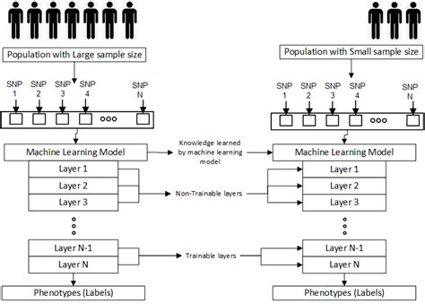 5 transfer learning with fine tuning some of the layer are trainable