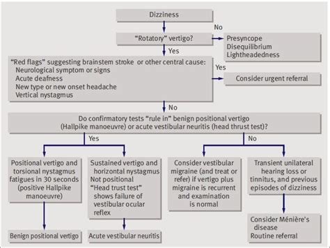 Dizziness Algorithm Flow Diagram