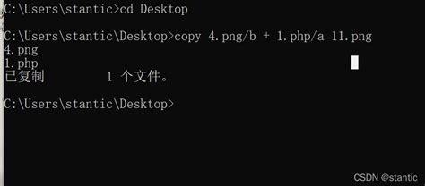 bugku 文件包含2 csdn博客