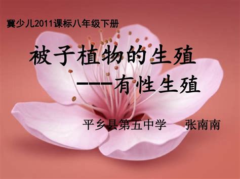 被子植物的有性生殖word文档在线阅读与下载免费文档