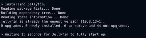 Installing And Configuring Jellyfin On Ubuntu Server Raspberrytips