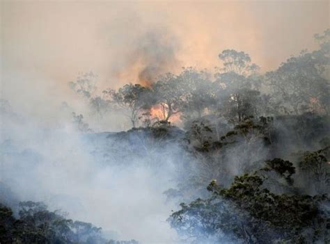 Bushfire Related Air Pollution In Nsw Have Been Declared A Public Emergency Healthtimes