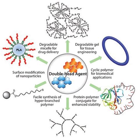 Functional Biomaterials Synthesized By Double Head Polymerization Agents
