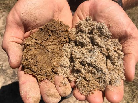 Soil Textures
