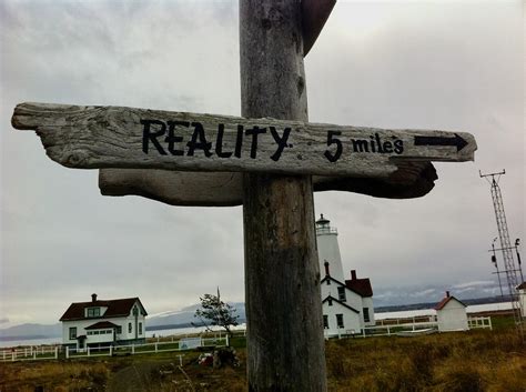 Explore Openai Vector Embedding With Neo4j Langchain And Wikipedia