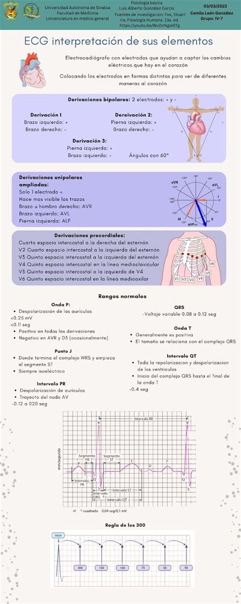 Ecg Interpretación De Sus Elementos
