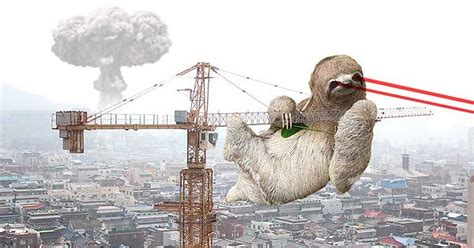 Slothzilla Album On Imgur