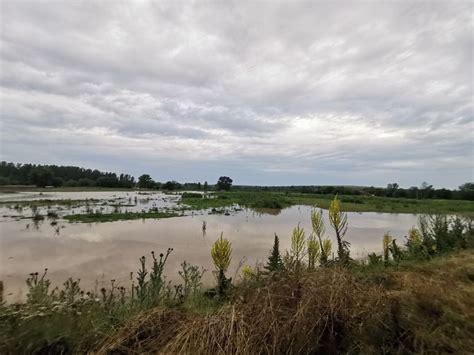МОСВ предупреждава за повишение на нивото на река Огоста