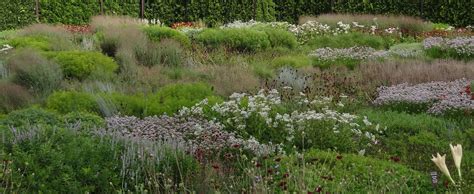 How To Use Matrix Planting In Your Garden Designs Plant Wild