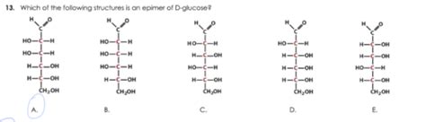 Biochem Exam 2 Flashcards Quizlet