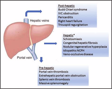 Classification Of Noncirrhotic Portal Hypertension Partial List Of Download Scientific Diagram