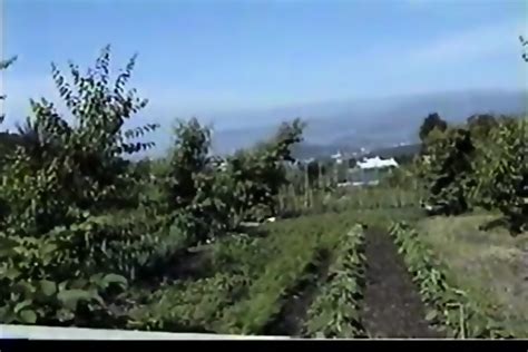 Asian Sex Retreat Part