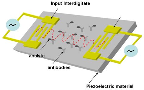 Schematic Representation Of A Saw Based Biosensor Adapted From 26