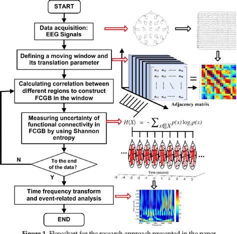 Figure 1 From Network Entropy For The Sequence Analysis Of Functional Connectivity Graphs Of The