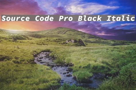 Source Code Pro Black Italic Font FFonts Net