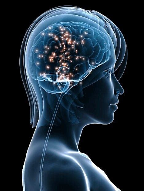 뇌전증 증상은 근육경련·얼굴떨림 등 발작 반복적 발생해 만성화로 아주경제