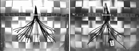 Robot Trajectories Under The Control Of Model 1” In The Training