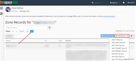 How To Add TXT Record In CPANEL NetSpace India