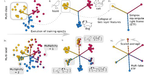 Figure 1 From Neural Collapse In Multi Label Learning With Pick All