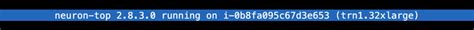 Neuron Top User Guide — Aws Neuron Documentation
