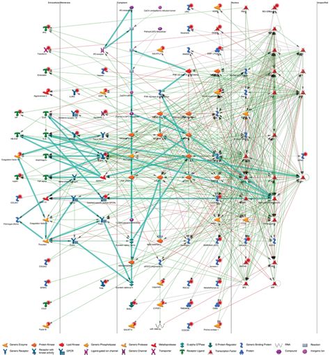 Network Analysis Network Analysis Based On The Top 69 Significant Download Scientific Diagram