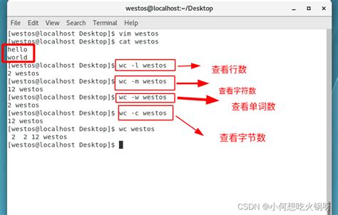 复习之linux下的文件管理fhswc Csdn博客