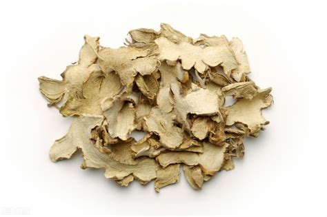 款冬花與經方射干麻黃湯介紹 壹讀