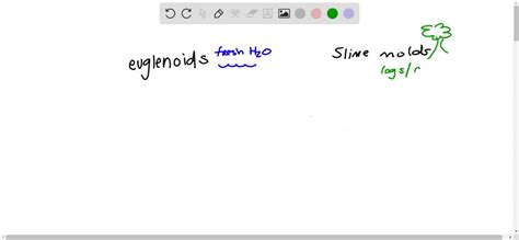 Solved Which Of The Following Might You Find In Seawater A An