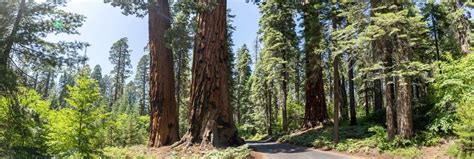 Advanced Software Products Group Aspg Inc On Linkedin Mainframe Mainframesrule Zos Ibmz