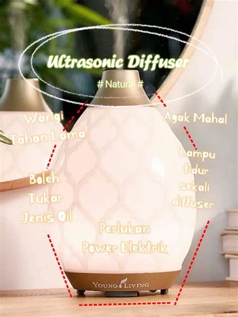 Ultrasonic Diffuser Vs Reed Diffuser 🌫️ Galeri Disiarkan Oleh