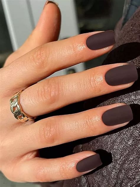 50 Different Shades Of Brown Nails Inspo To Slay The Season