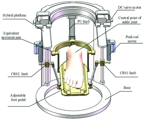 Ankle Rehabilitation Robot Download Scientific Diagram