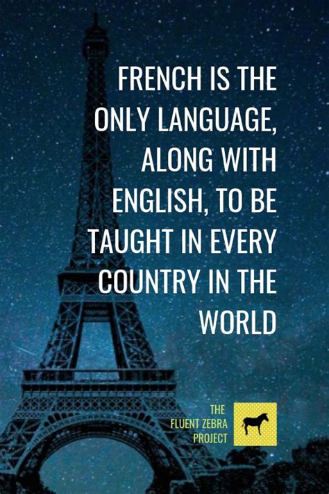 Learn French Online With Fluent Zebra