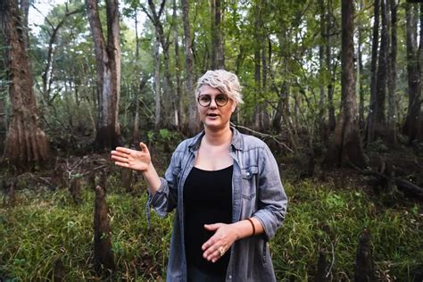 After Development Scare The Future Of Usfs Forest Preserve Looks