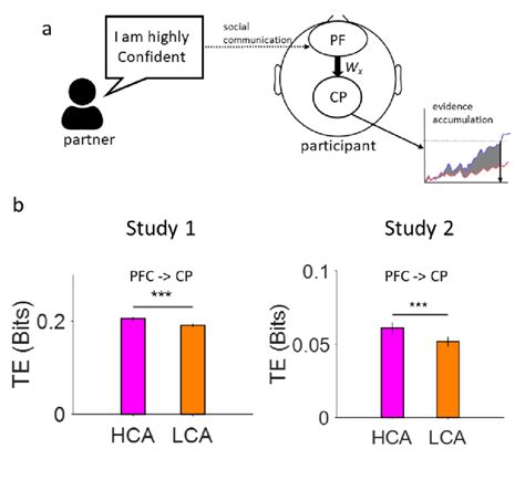 Effective Connectivity Analysis A A Heterogeneous Connectivity Download Scientific Diagram