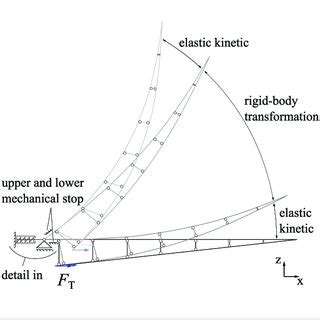 Static System Of One Elastic Kinetic Segment In Side View The Download Scientific Diagram