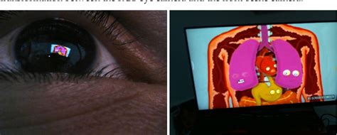 Figure 1 From Calibration Free Mobile Eye Tracking Using Corneal Imaging Semantic Scholar