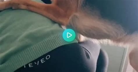Fun With Kim Gsd Album On Imgur