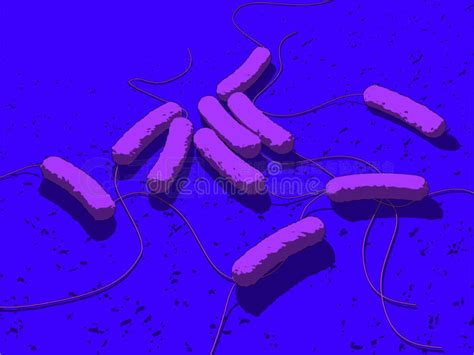 插图免抠元素 大肠杆菌 大肠杆菌图片免费下载 5092493492 千图网pro