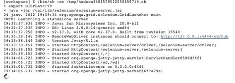 Command Line Selenium Looping Through Jenkins And Permission Denied