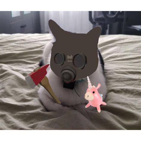 I Made My Cat As Tf2 Characters Rtf2