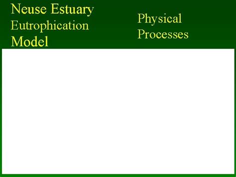 Development Of The Neuse Estuary Eutrophication Model Background