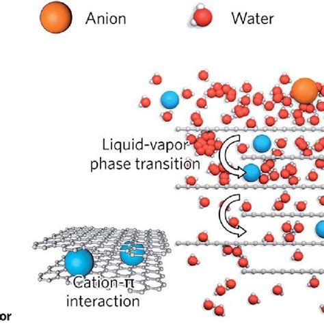 Schematic Diagram Of The Brine Desalination Process With The Go Download Scientific Diagram