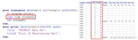 Sas Proc Transpose转置sas转置 Csdn博客