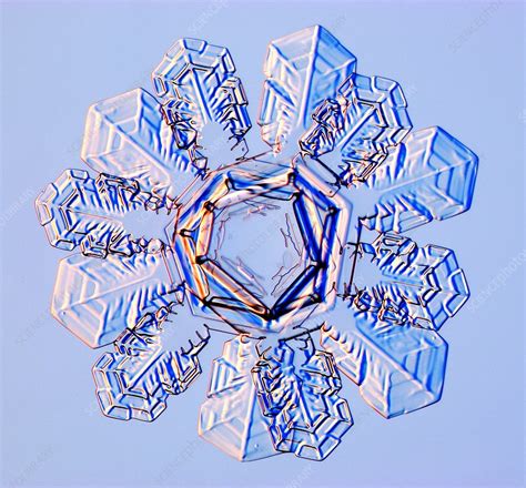 Double Snowflake Stock Image E127 0437 Science Photo Library