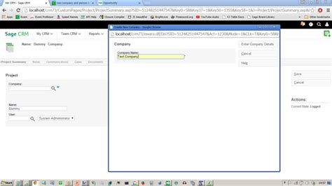 New Company And New Person Buttons In A Custom Entity Screen Sage
